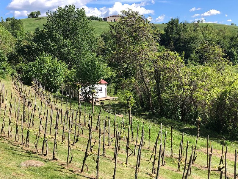 Vakantiehuis Piemonte Ceva | Wegdromen bij het uitzicht Ceva huren